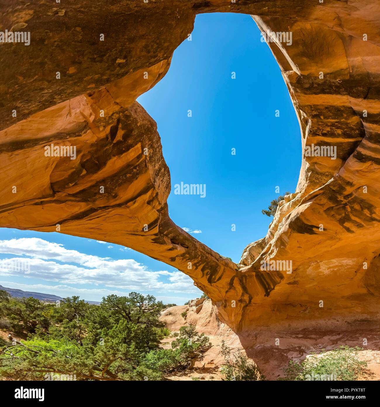 Uranium Stock Photos & Uranium Stock Images - Alamy