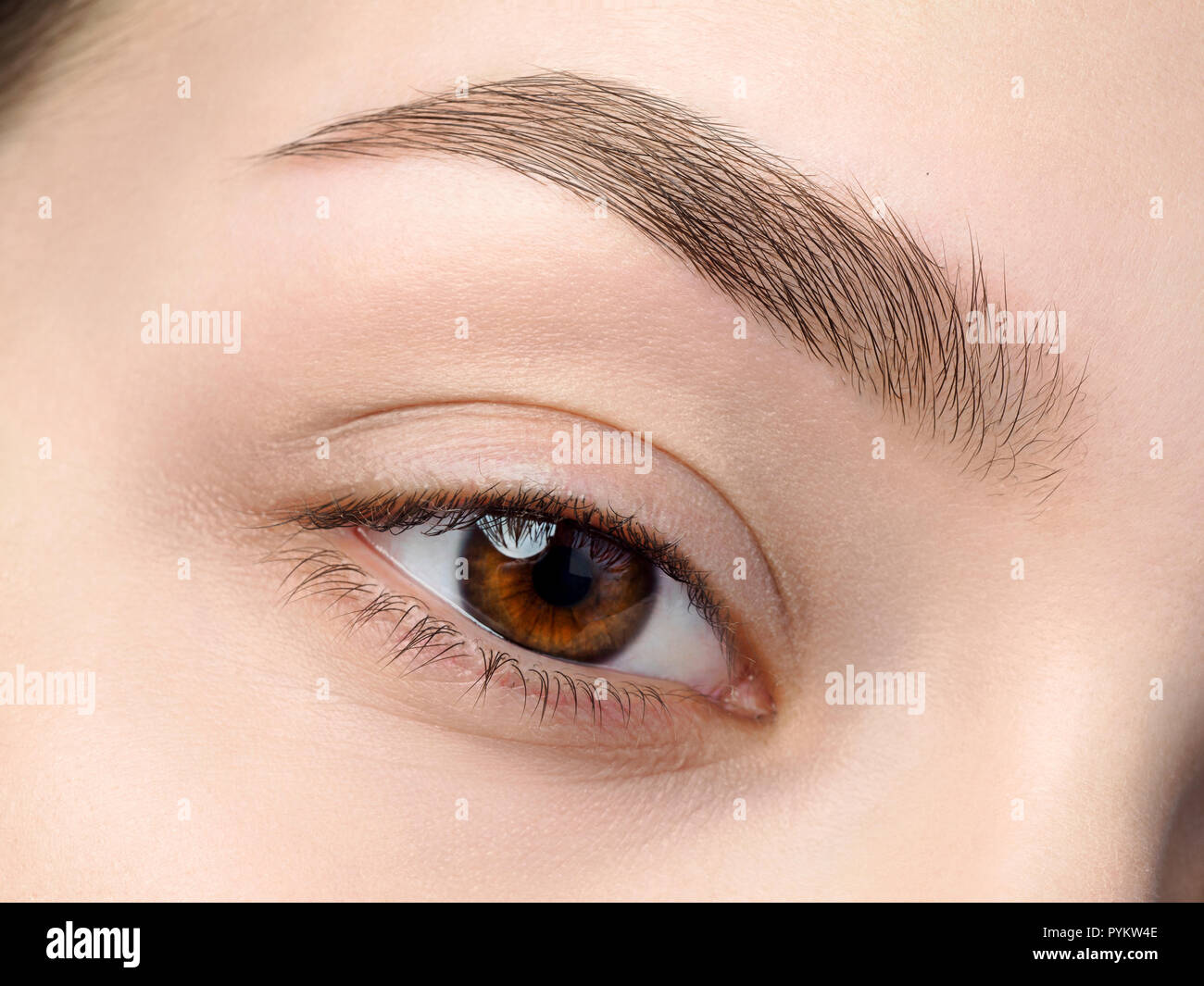 Close up view of beautiful brown female eye. Perfect trendy eyebrow ...