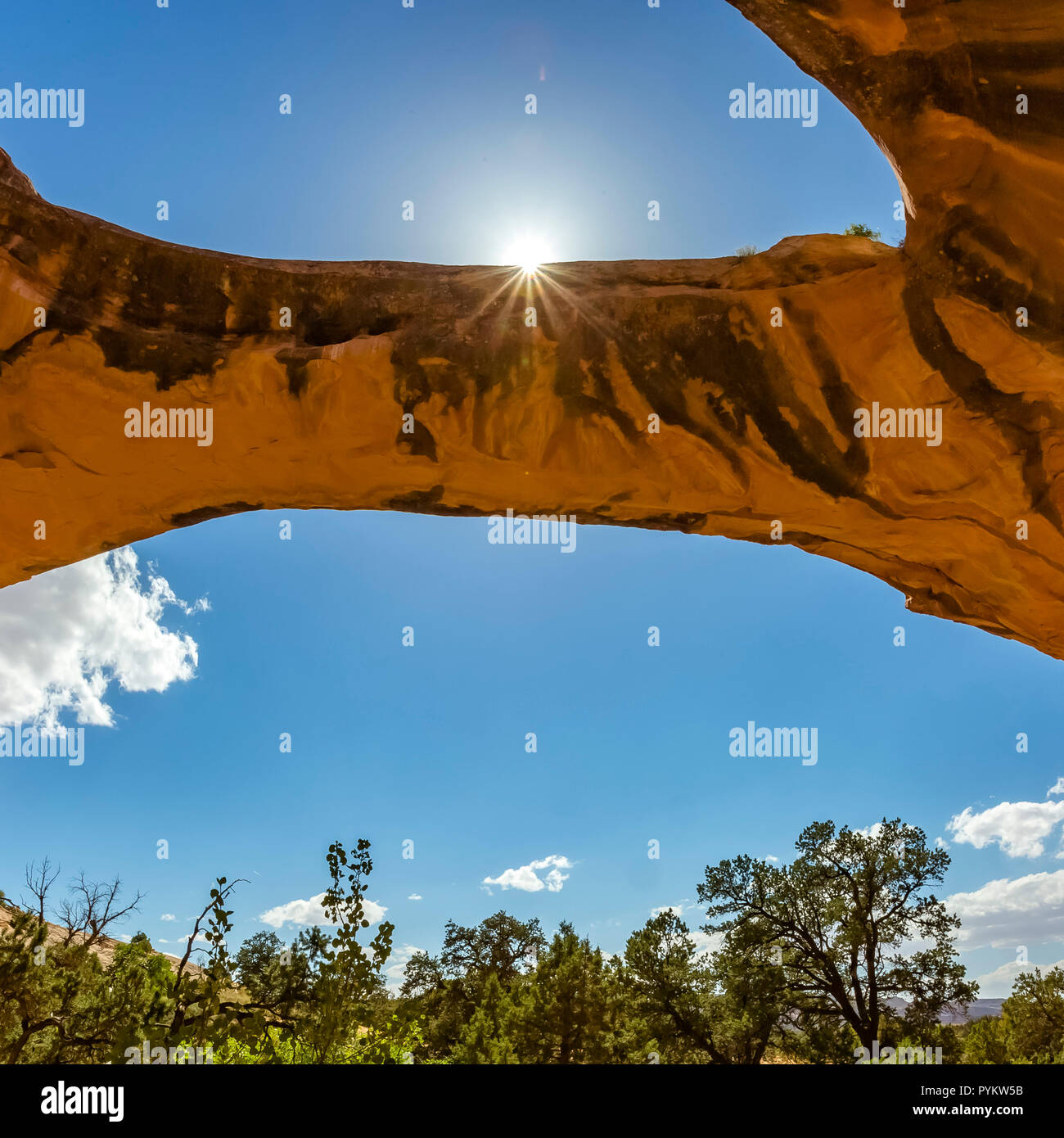 Uranium Arch view in Moab with sun sky and plants Stock Photo - Alamy