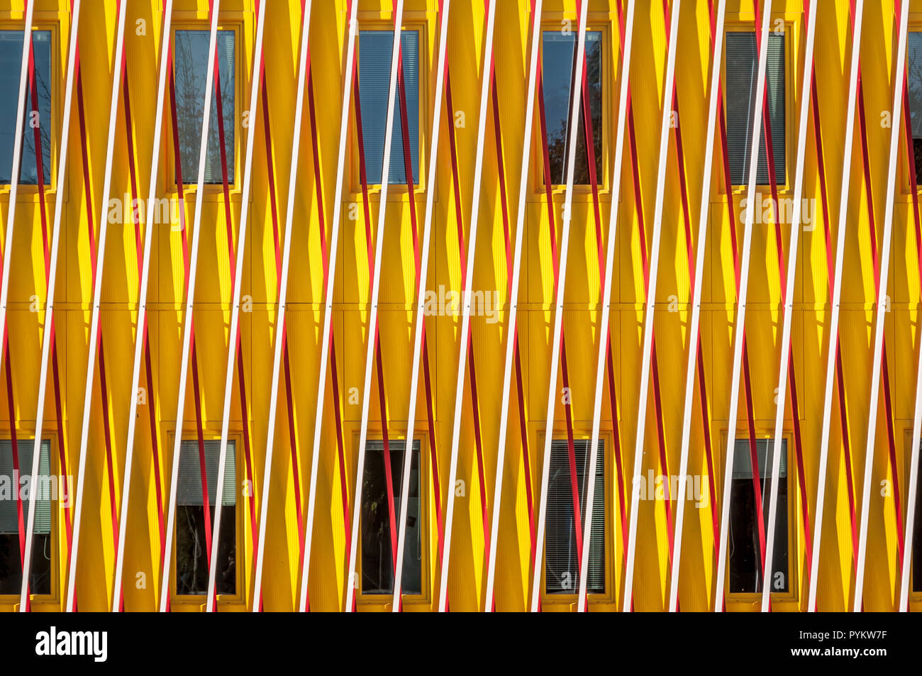 Yellow looking windows modern Stock Photo - Alamy