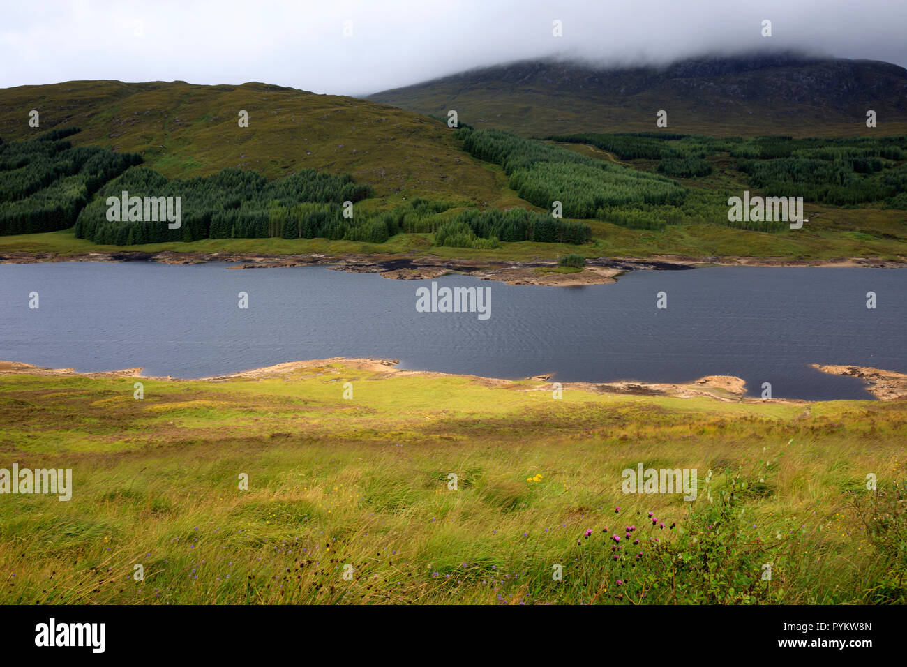 Typical landscape of Scotland, Isle of Skye, Inner Hebrides, Scotland ...