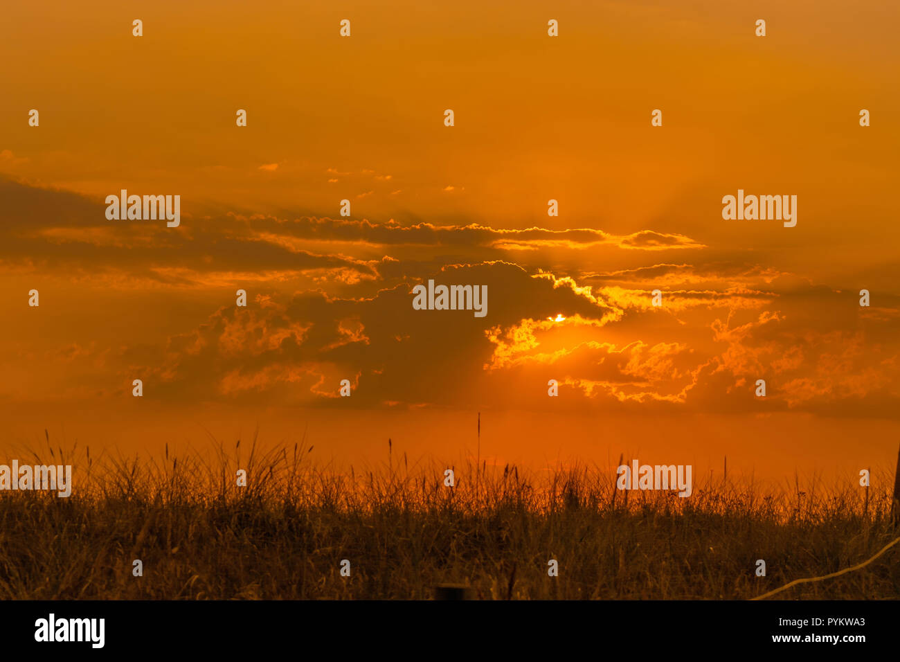 Sunset at the beach, low angle view Stock Photo - Alamy