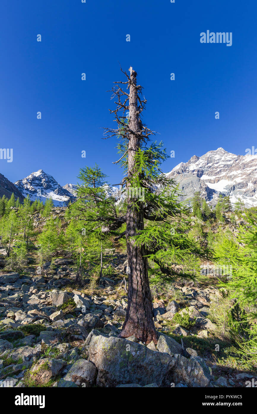 Natural landscapes hi-res stock photography and images - Alamy