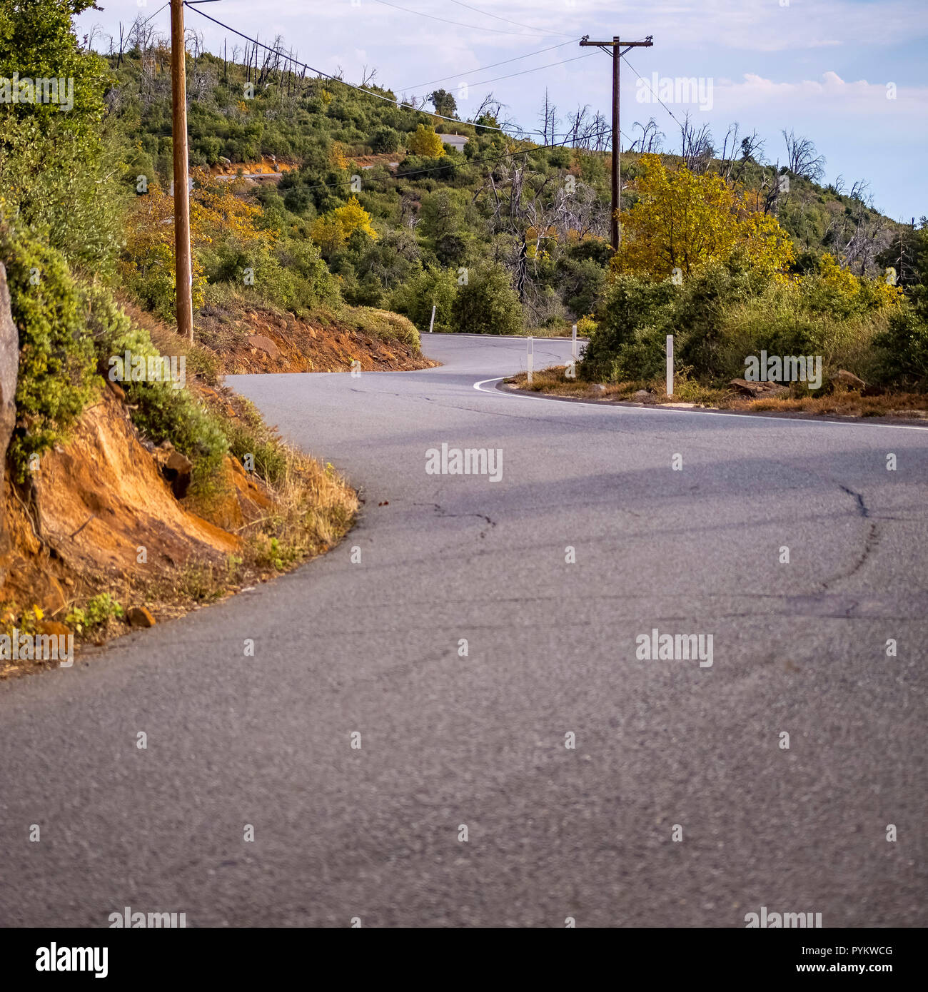 Winding lines, square hi-res stock photography and images - Alamy