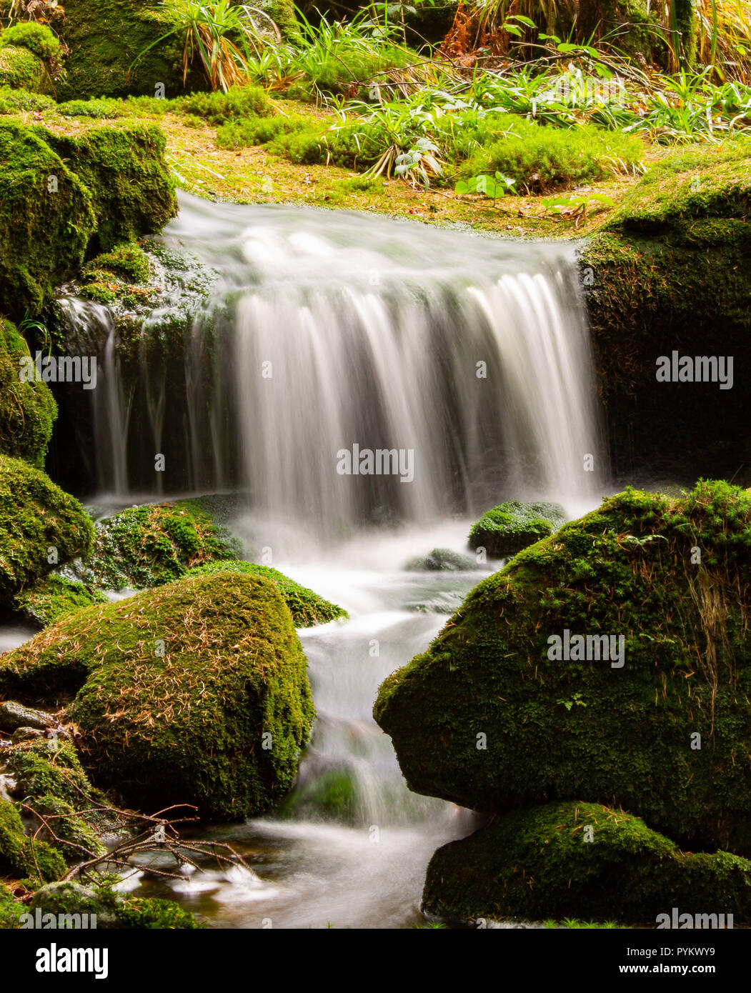 Nice creek hi-res stock photography and images - Alamy