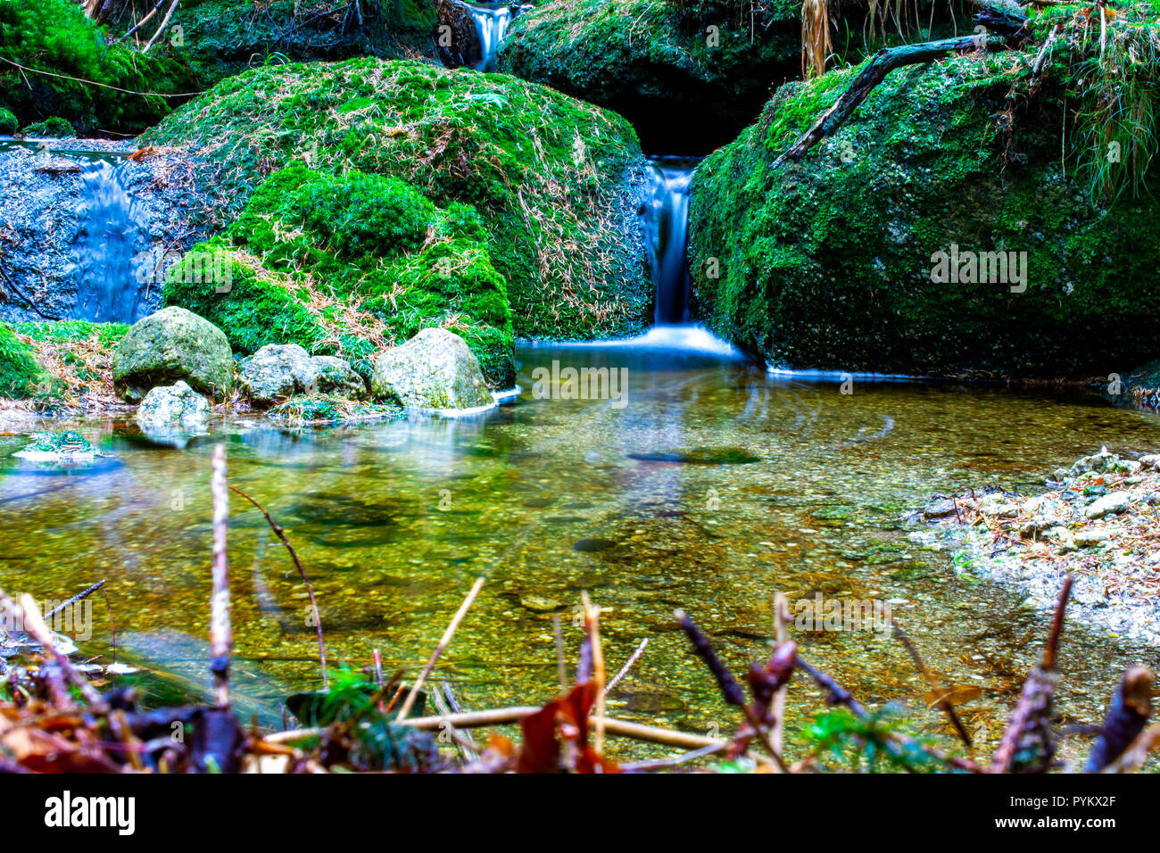 water in forest Stock Photo - Alamy
