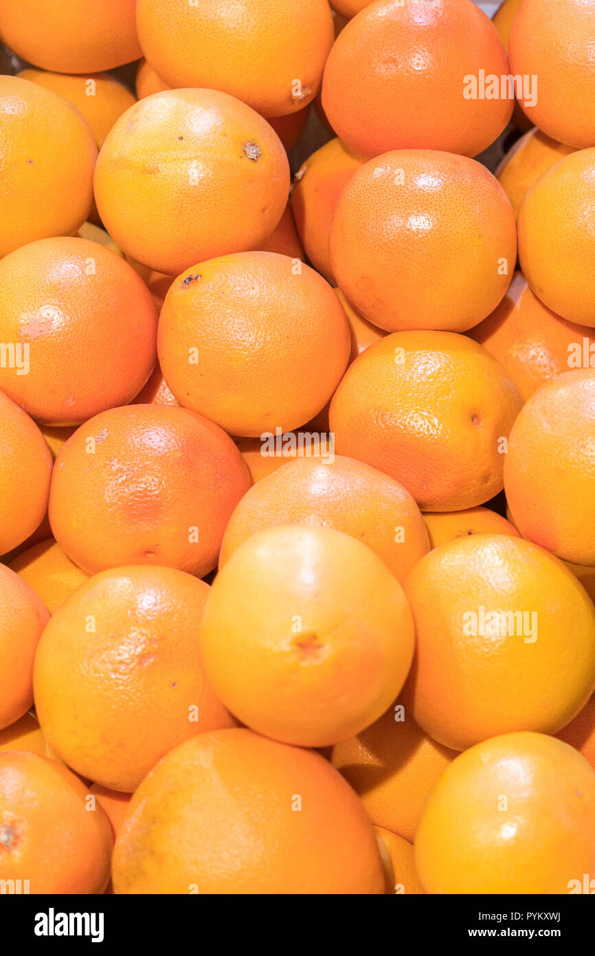 Grapefruit vertical photo Stock Photo - Alamy