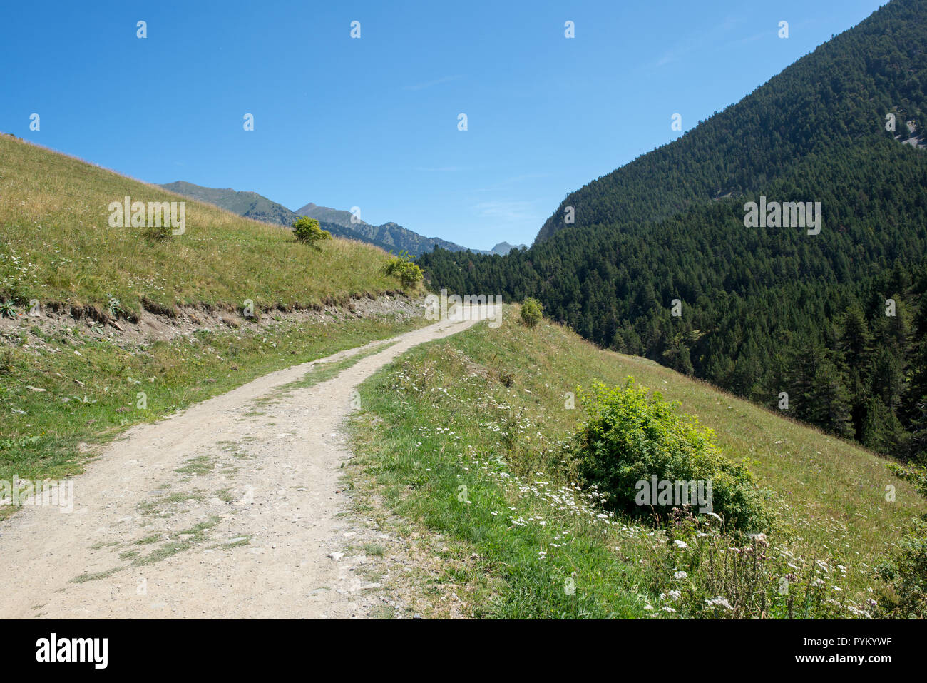 Road to Montgarri in the valley of Aran, Spain Stock Photo - Alamy