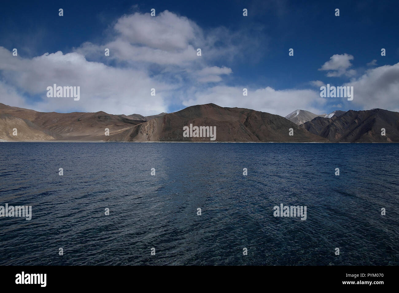 Birds of paradise planet earth hi-res stock photography and images - Alamy