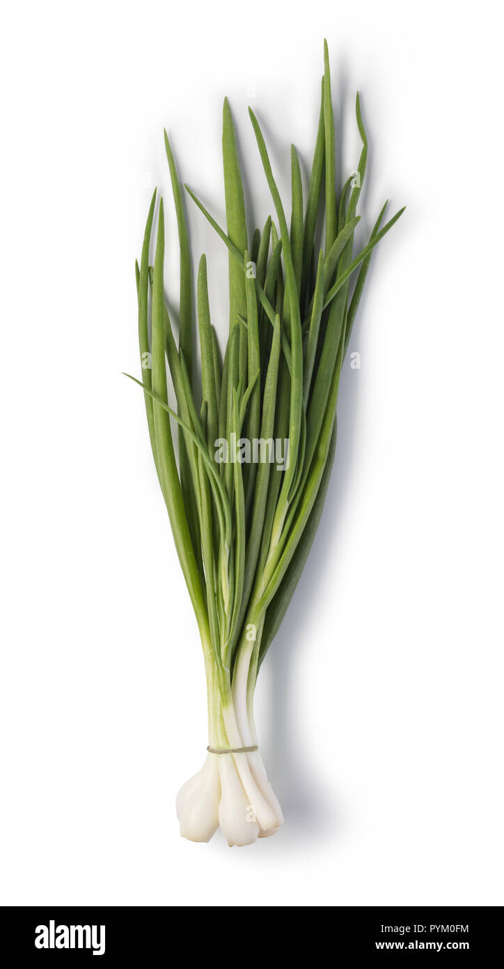 Green Onion on white background Stock Photo - Alamy