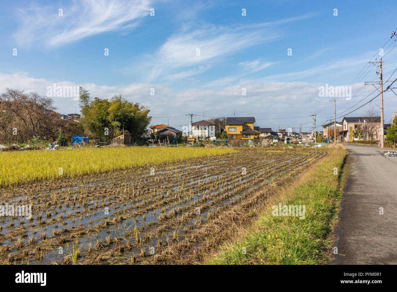 Rice field in winter, Kanazawa, Ishikawa Prefecture, Japan Stock Photo ...