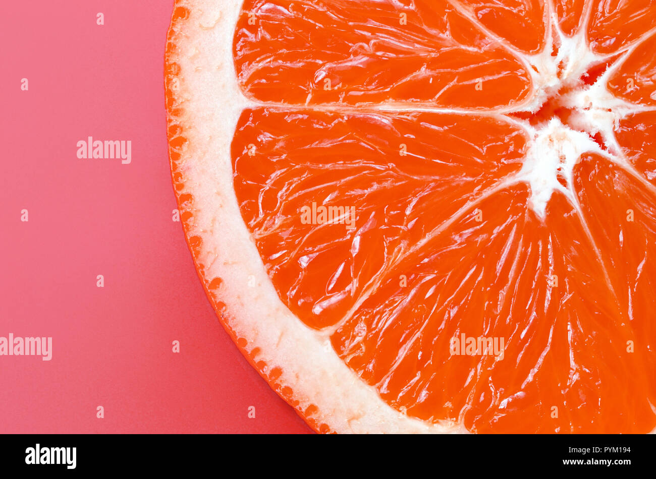 Top view of a one grapefruit slice on bright background in light pink ...