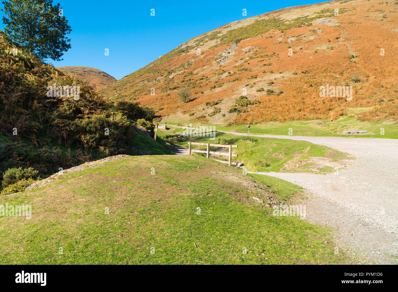 Trail leading though the Long Mynd Shropshire UK Stock Photo - Alamy