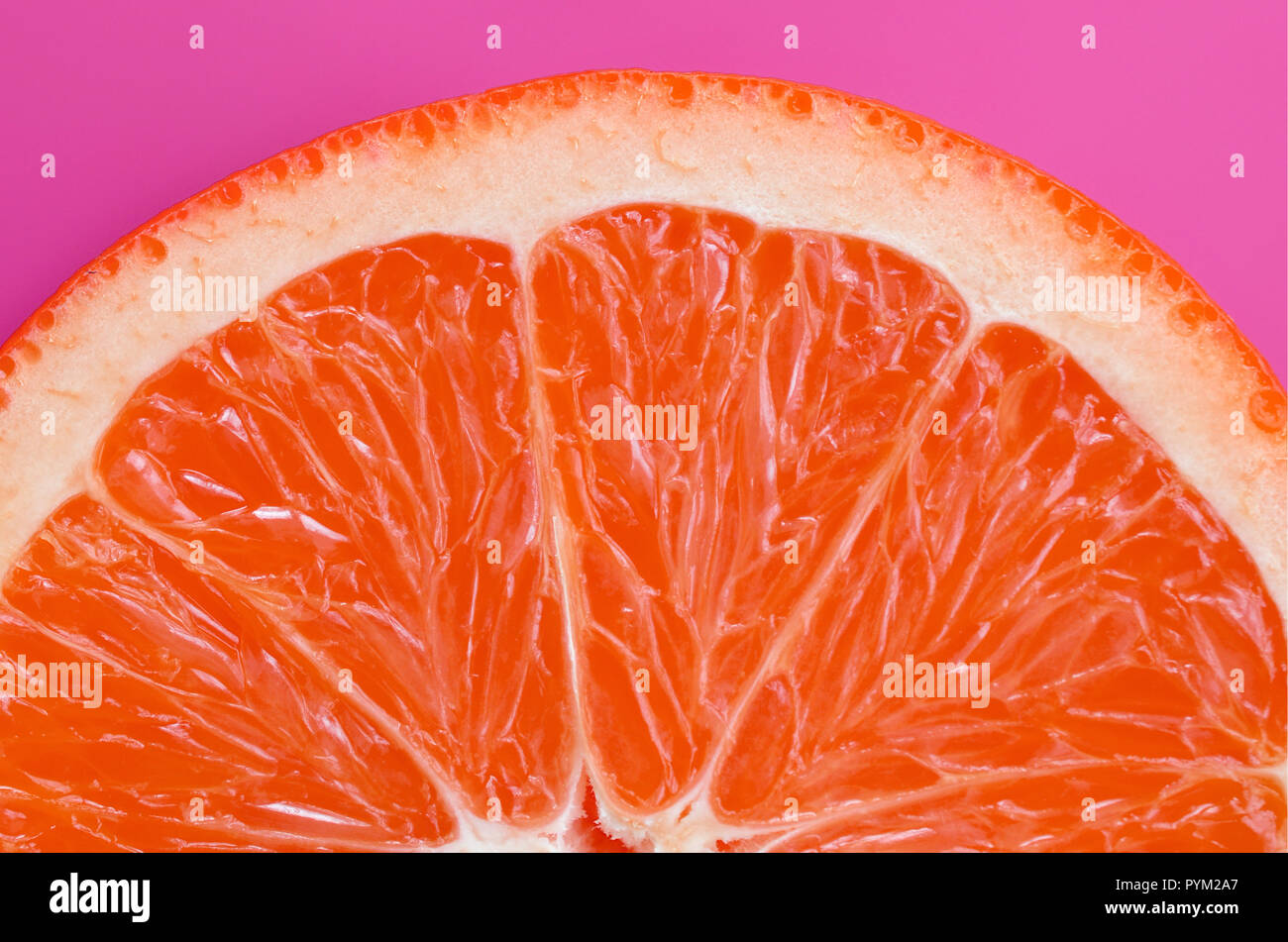 Top view of an one grapefruit slice on bright background in purple ...