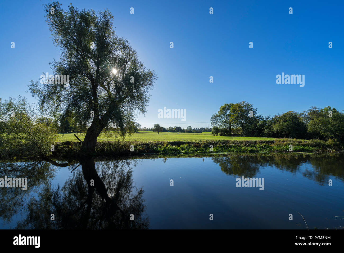 Sun through tree in hi-res stock photography and images - Alamy