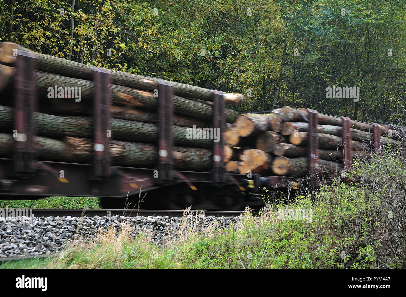 gravel railroad embankment in forest landscape with passing freight ...