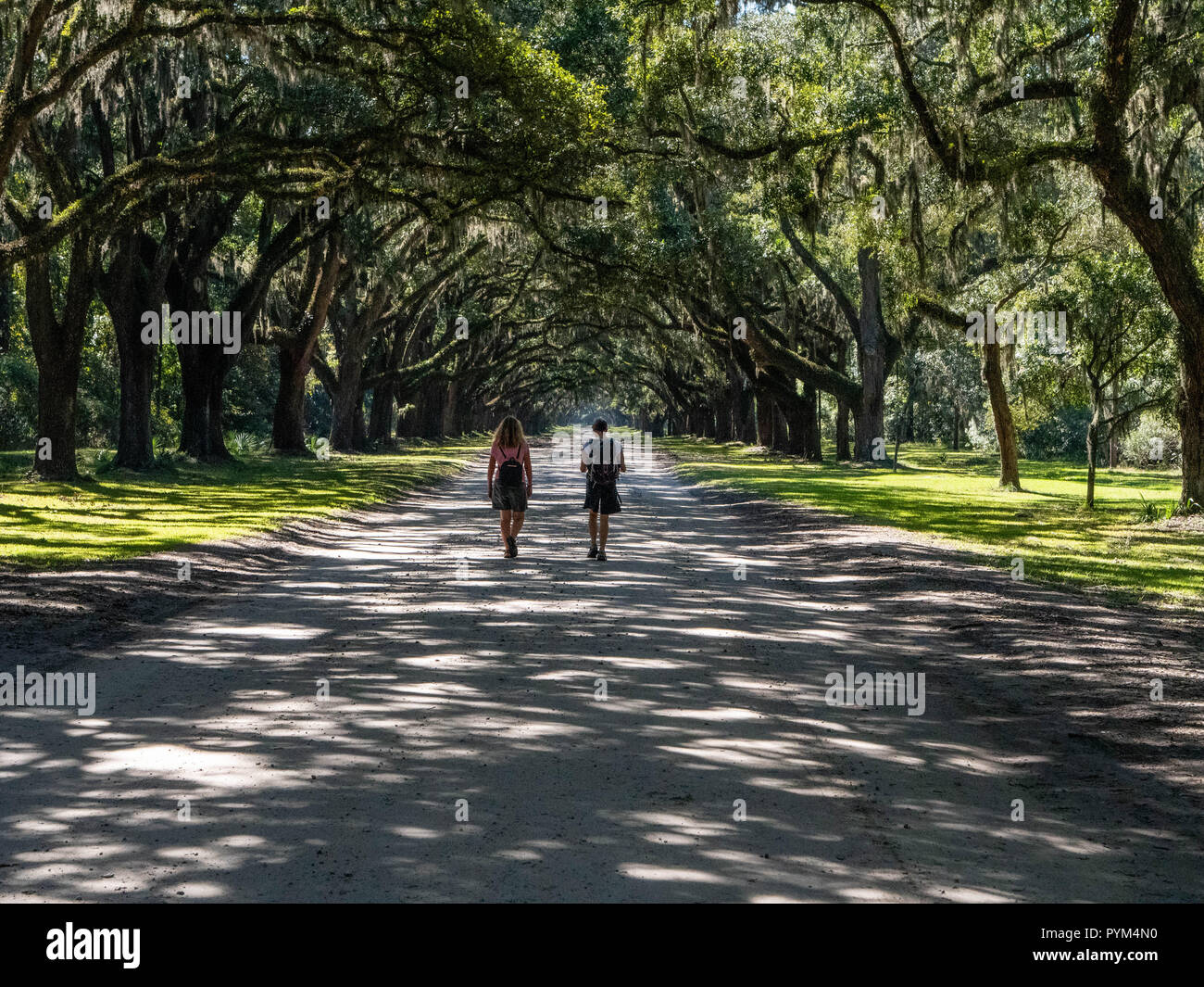 Wormsloe historic site hi-res stock photography and images - Alamy