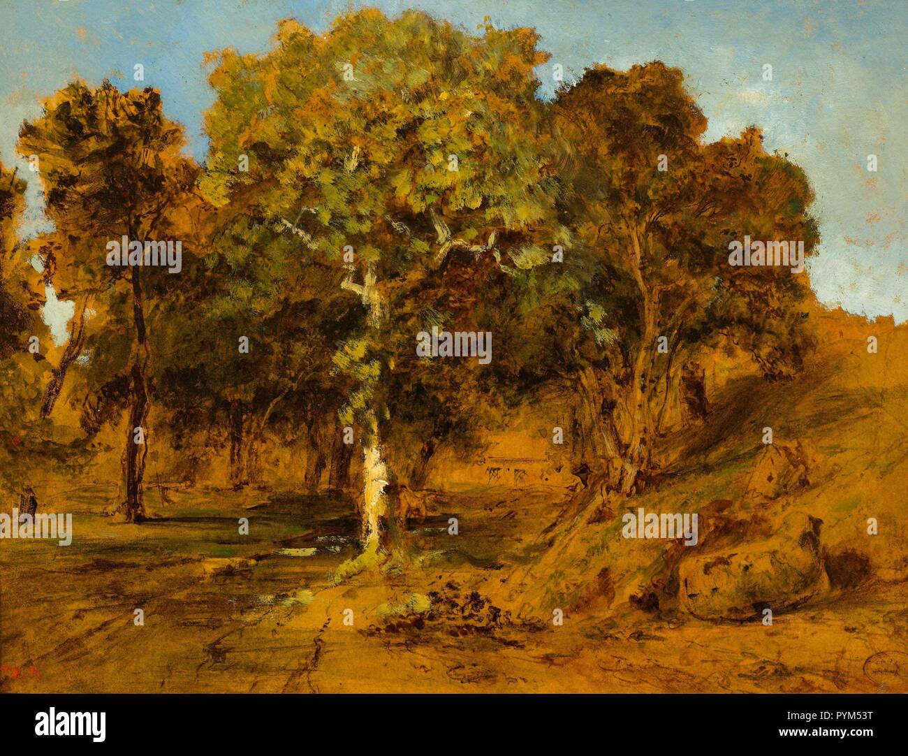 Barbizon Forest View High Resolution Stock Photography and Images - Alamy
