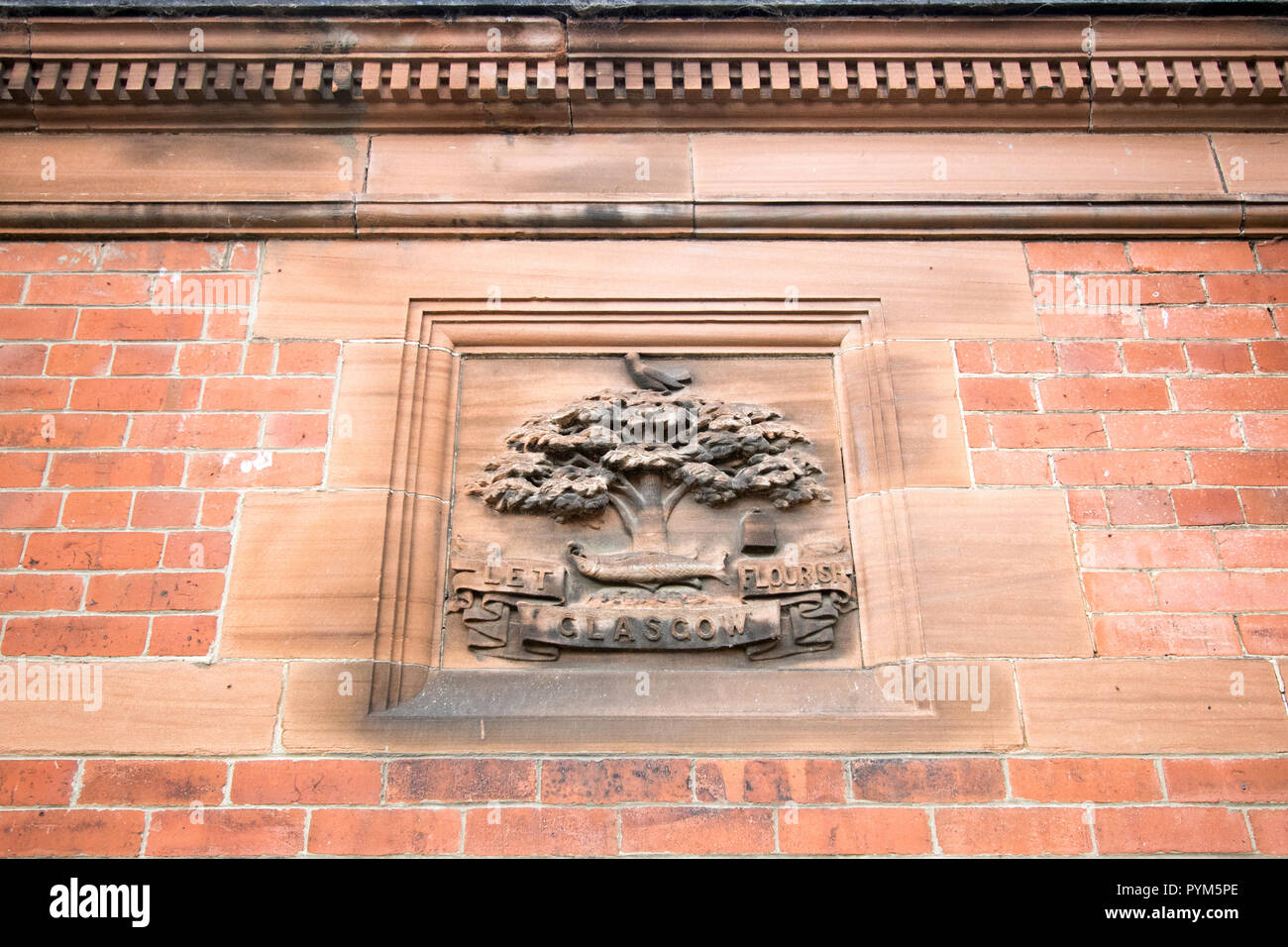 Motto of scotland hi-res stock photography and images - Alamy