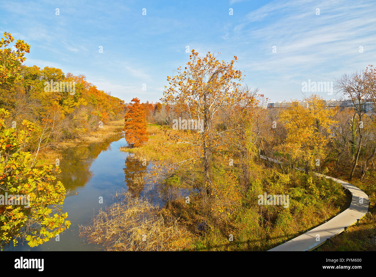 A Walkway On Theodore Roosevelt Island In Autumn In Washington Dc Usa