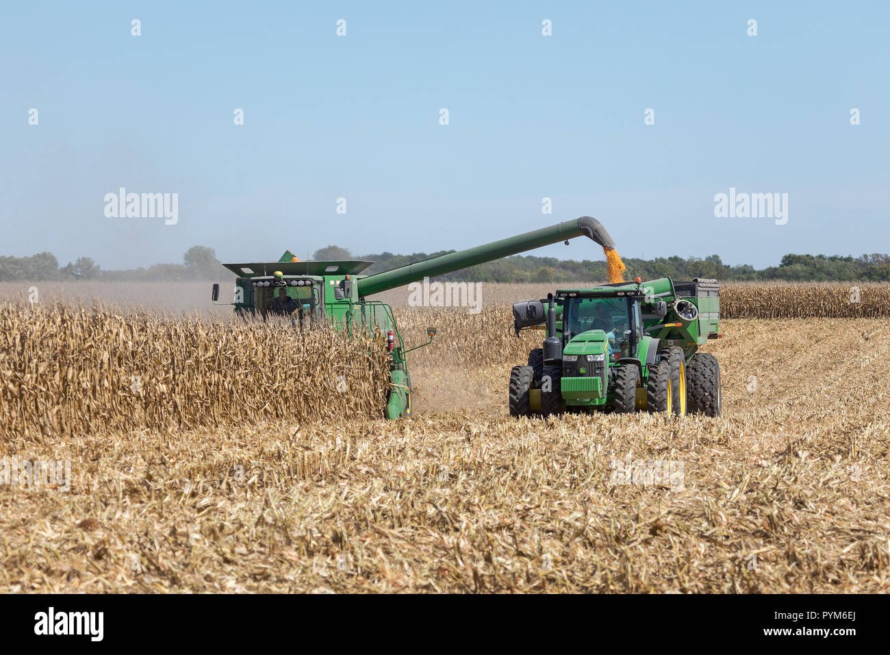 Harvesting corn in West Point, Iowa Stock Photo - Alamy
