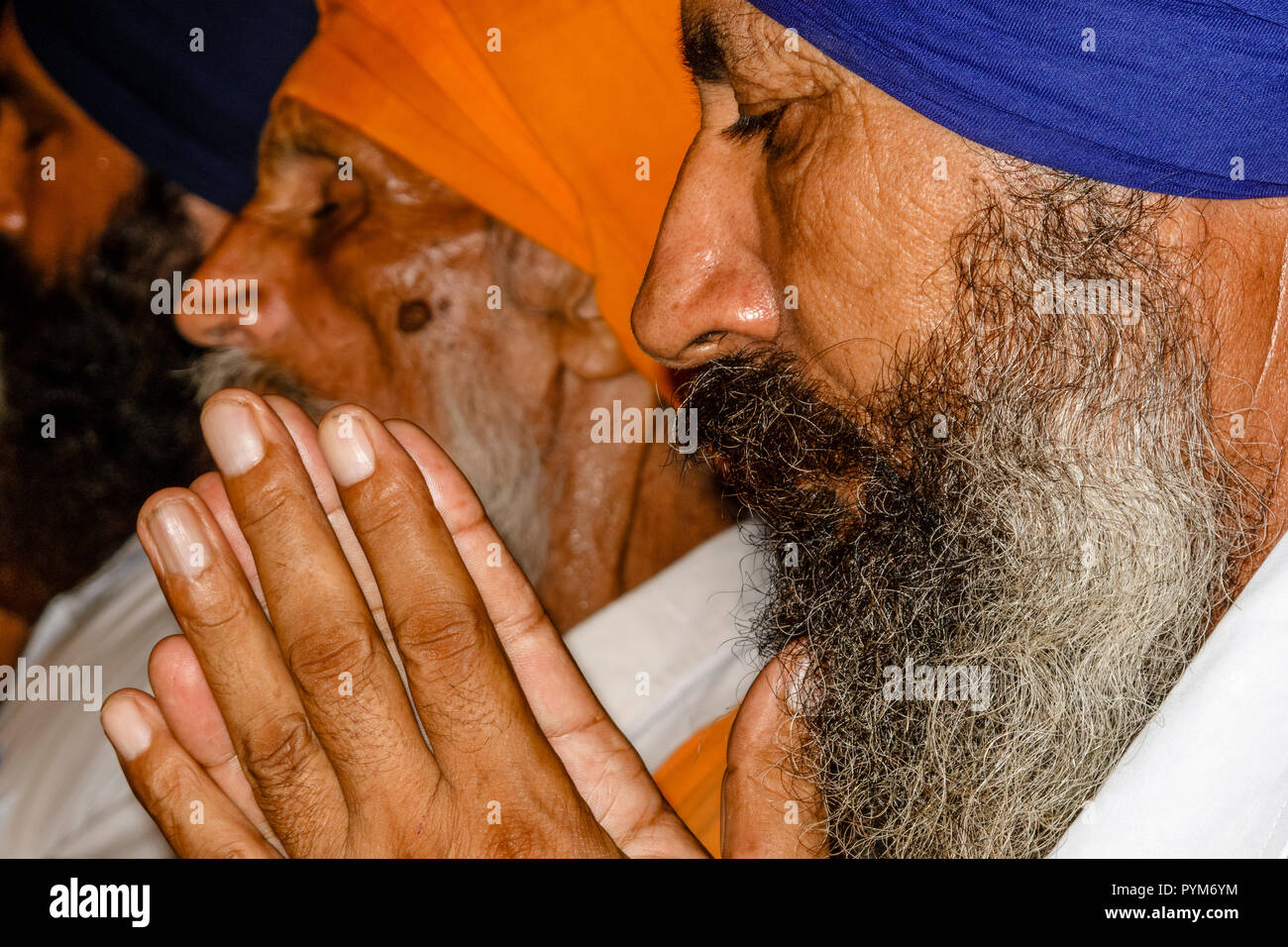 Sikh devotee praying at the entrance into the Golden Temple Complex ...