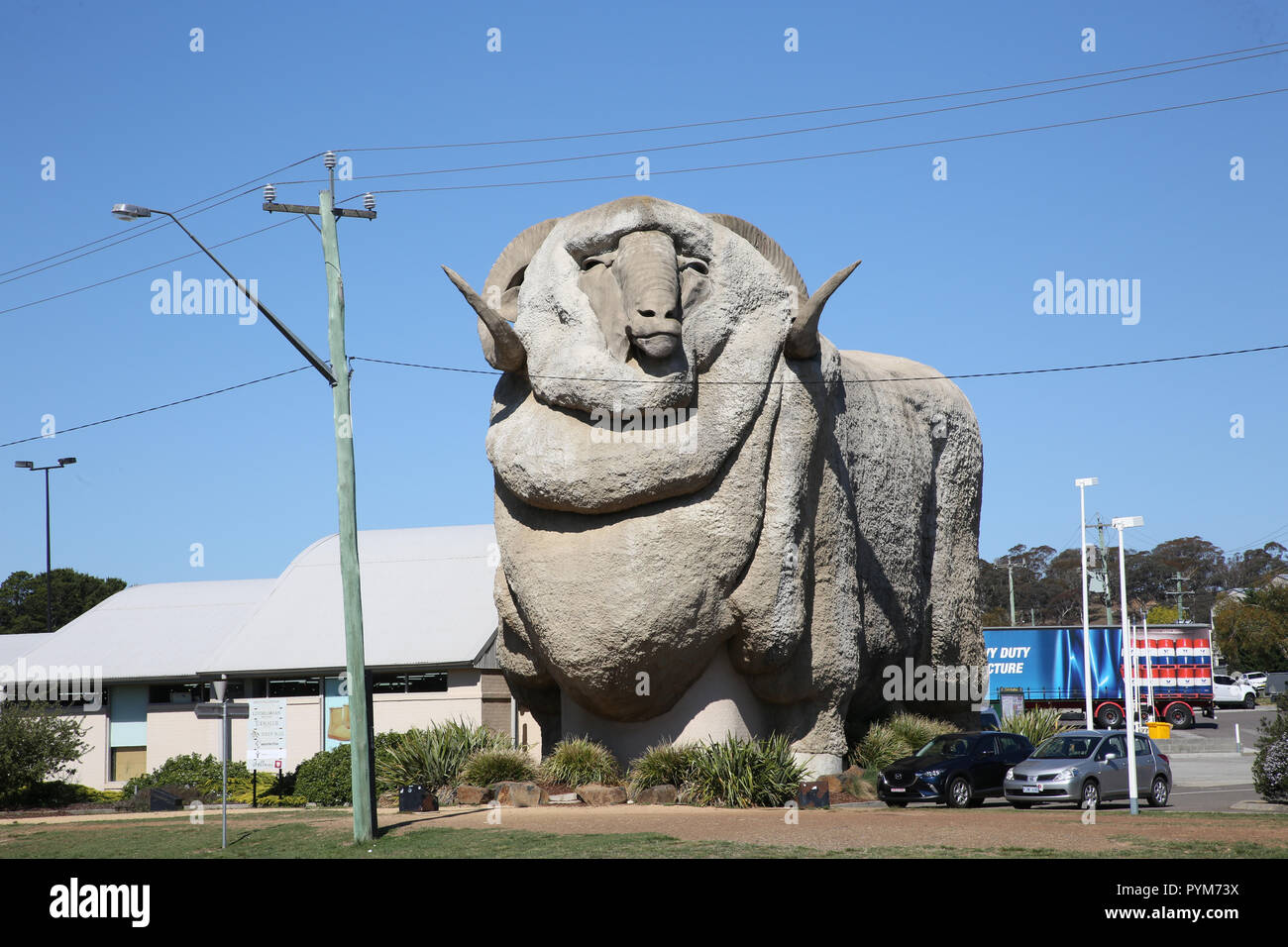 Goulburn big merino hi-res stock photography and images - Alamy