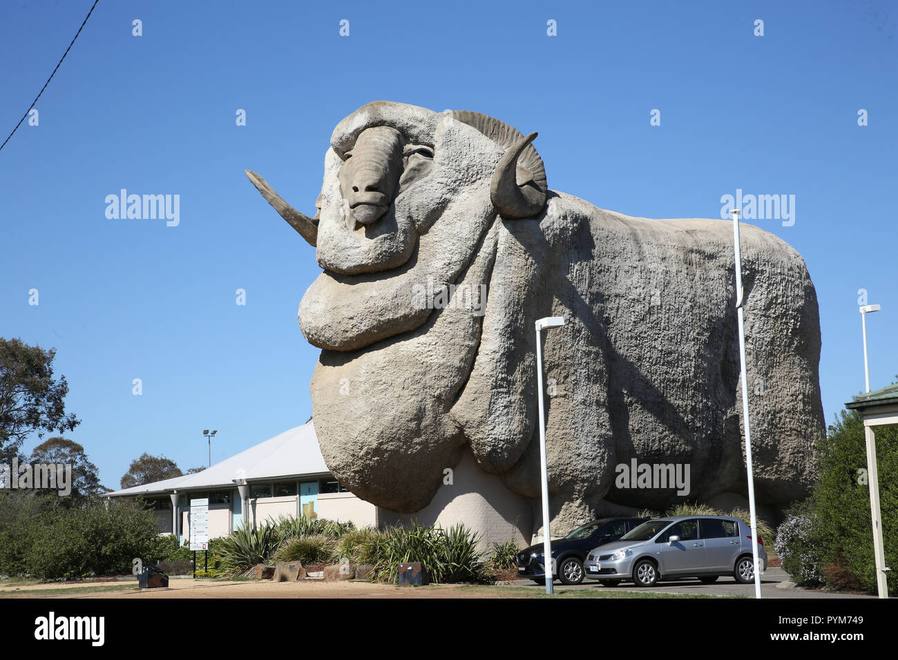 The Big Merino, Goulburn, NSW, Australia Stock Photo - Alamy