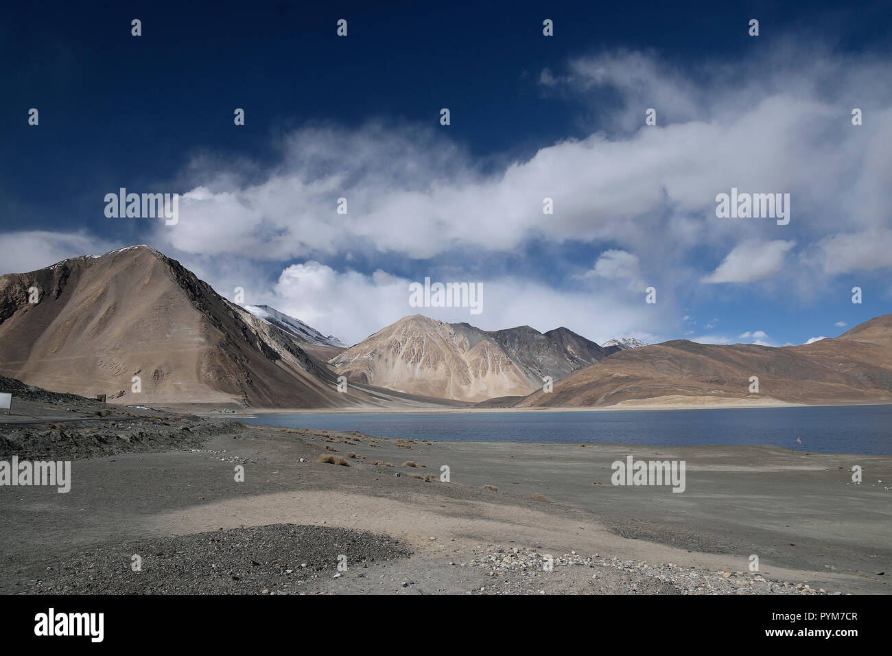 Apple tree at ladakh hi-res stock photography and images - Alamy