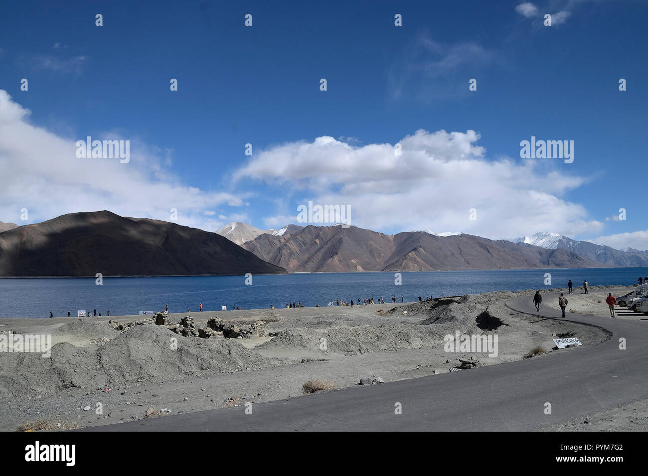 Apple tree at ladakh hi-res stock photography and images - Alamy