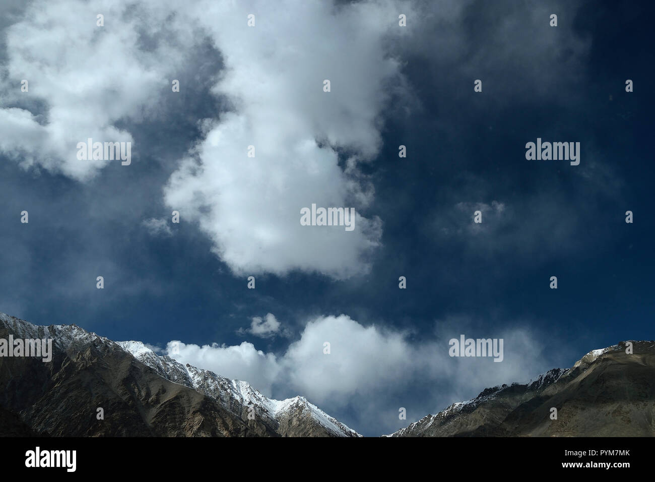 Apple tree at ladakh hi-res stock photography and images - Alamy