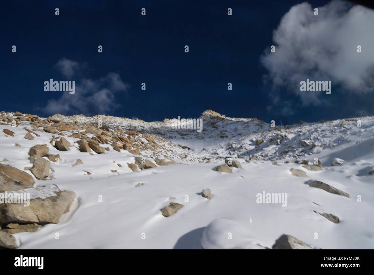 Apple tree at ladakh hi-res stock photography and images - Alamy