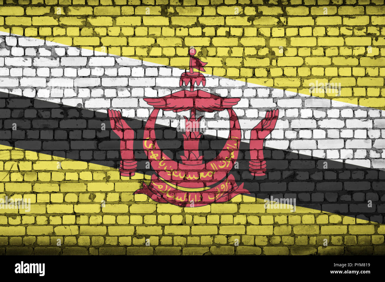 Brunei Darussalam flag is painted onto an old brick wall Stock Photo ...