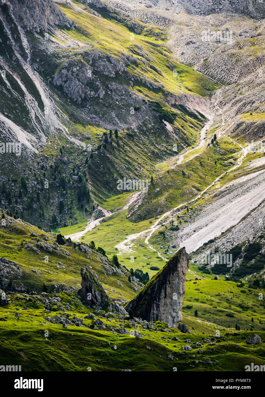 Seceda mountain in the Dolomites, South Tyrol, Italy Stock Photo - Alamy