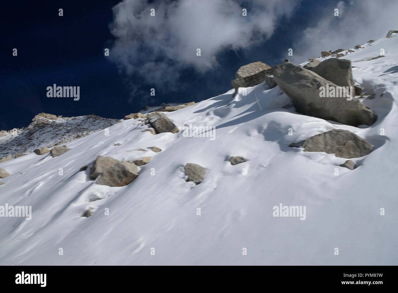 Apple tree at ladakh hi-res stock photography and images - Alamy
