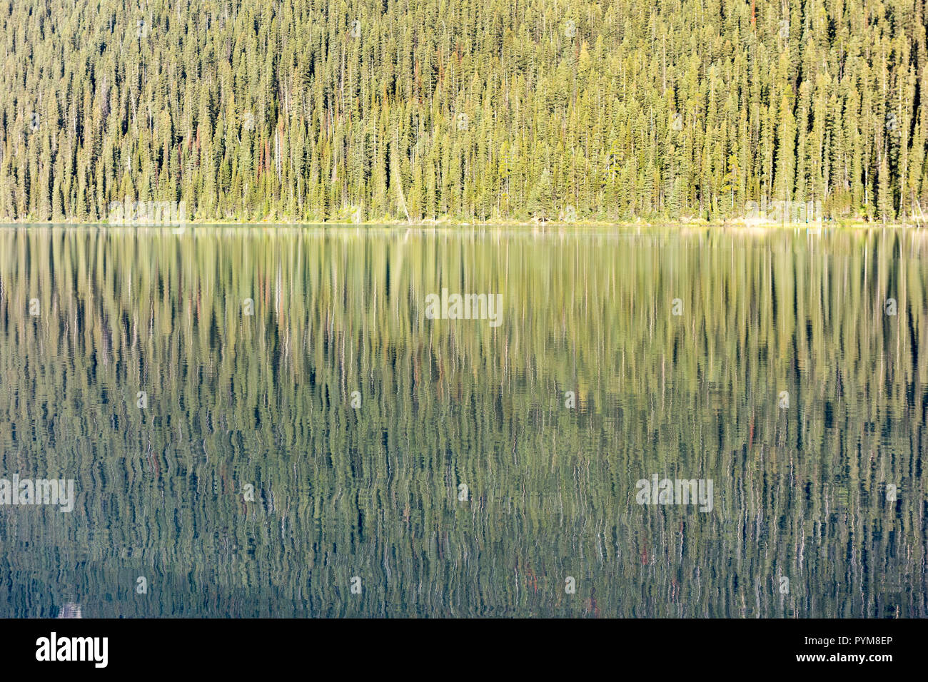 What to see and do in lake louise hi-res stock photography and images - Alamy