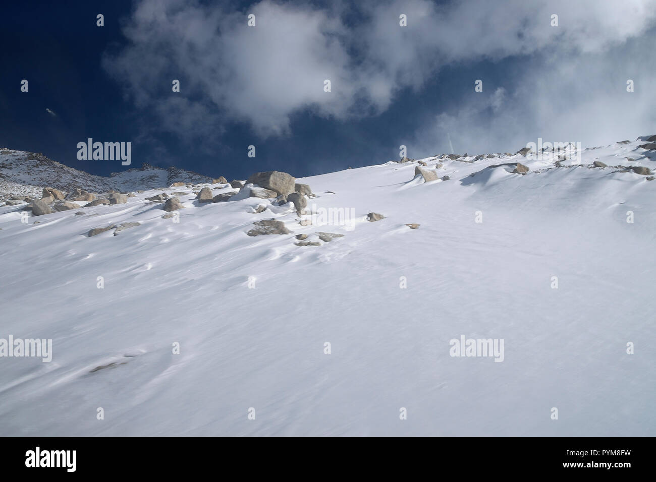 Apple tree at ladakh hi-res stock photography and images - Alamy