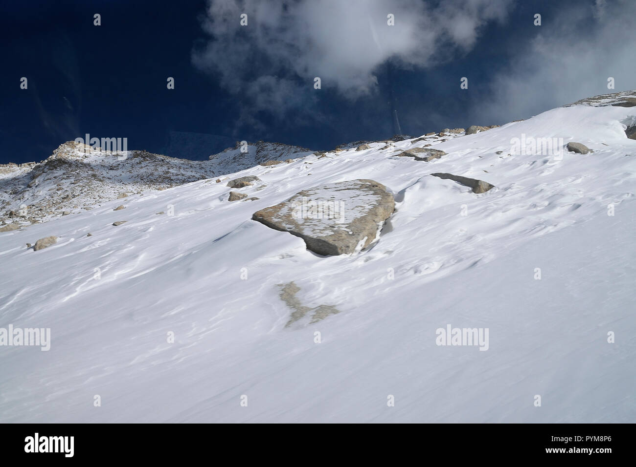 Apple tree at ladakh hi-res stock photography and images - Alamy