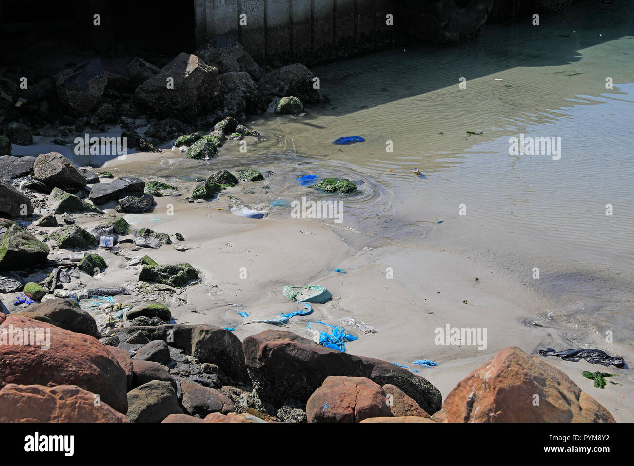 Plastic pollution in Hout Bay harbour near Cape Town, South Africa ...