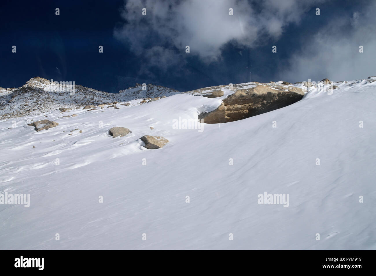 Apple tree at ladakh hi-res stock photography and images - Alamy