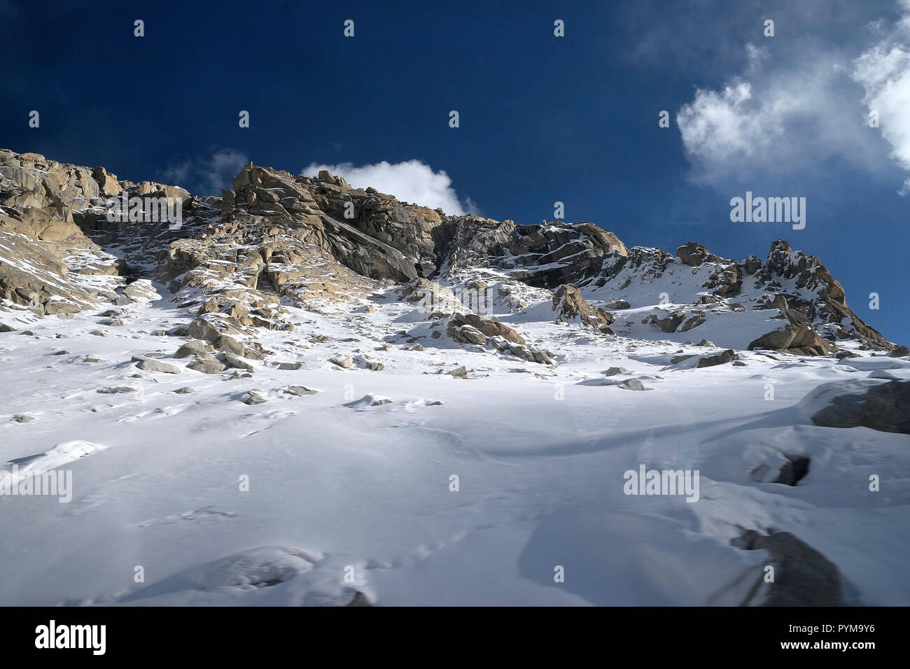 Apple tree at ladakh hi-res stock photography and images - Alamy