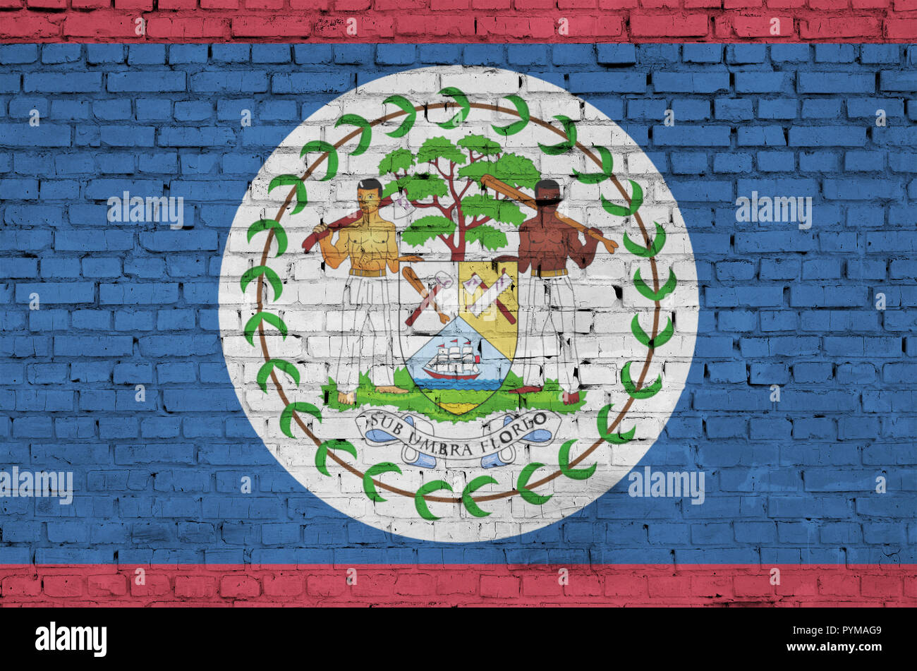 Belize flag is painted onto an old brick wall Stock Photo - Alamy
