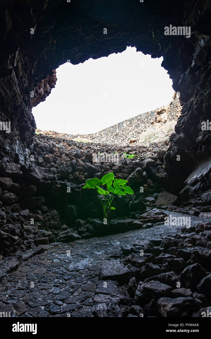 Exit from the cave. Light at end of lava tunnel Stock Photo - Alamy