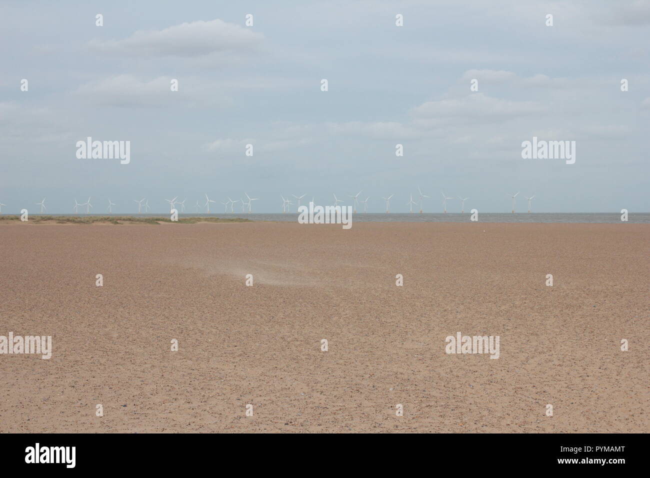 Seaside beach wind farm Stock Photo - Alamy
