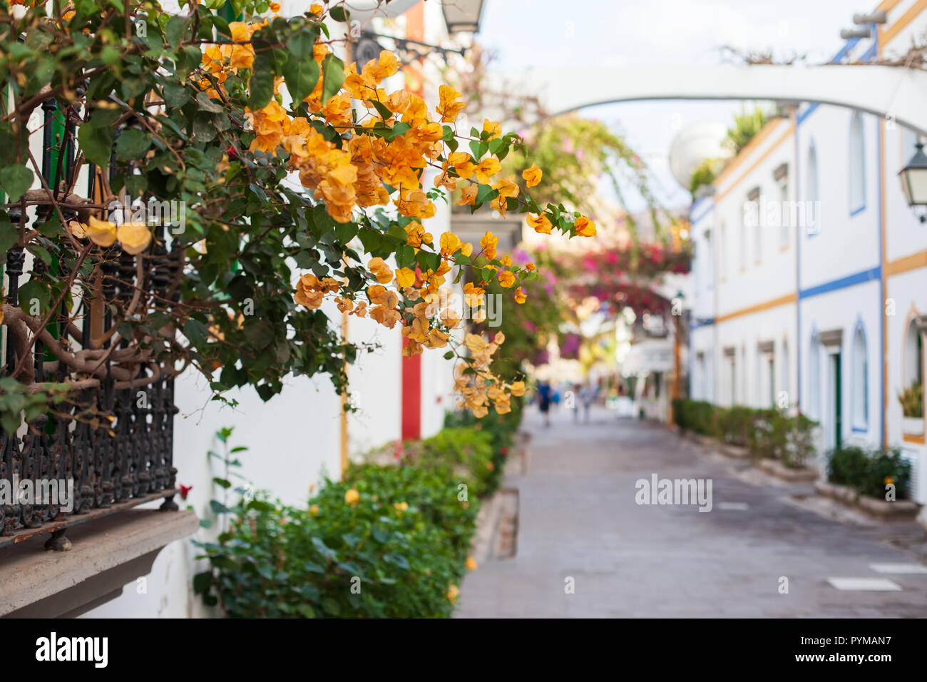 Picturesque spanish street with flowers in Gran Canaria island. Europe ...