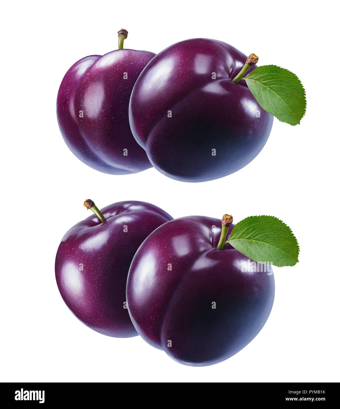 Plum Design High Resolution Stock Photography and Images - Alamy