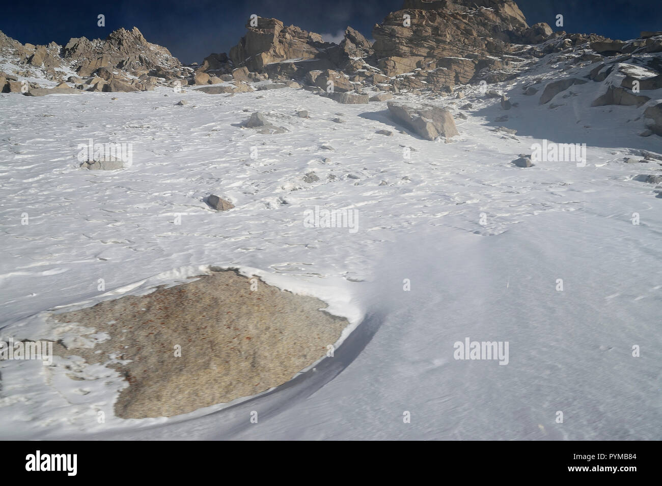 Apple tree at ladakh hi-res stock photography and images - Alamy