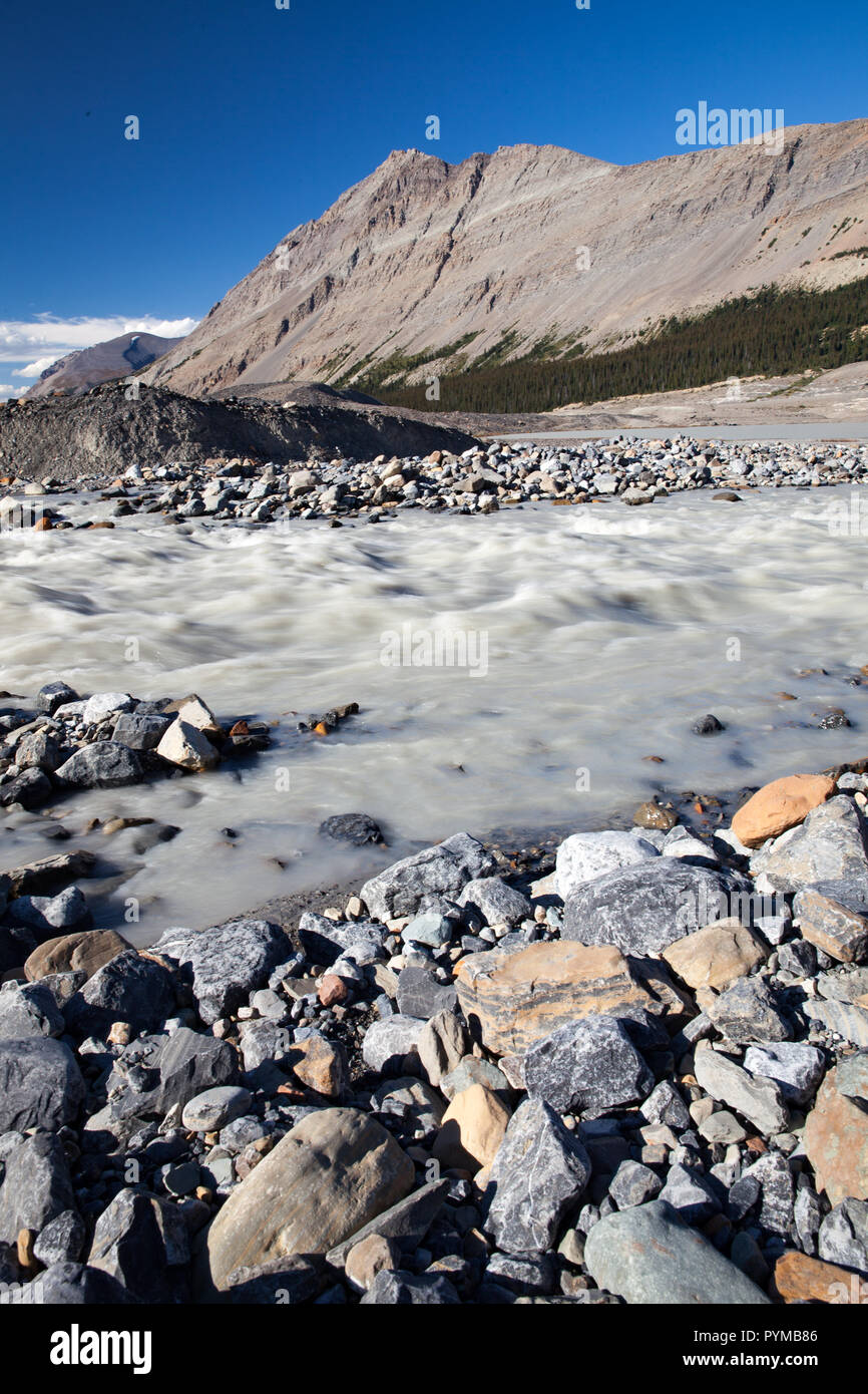 Melt water stream from the Athabasca Glacier, Alberta, Canada Stock ...