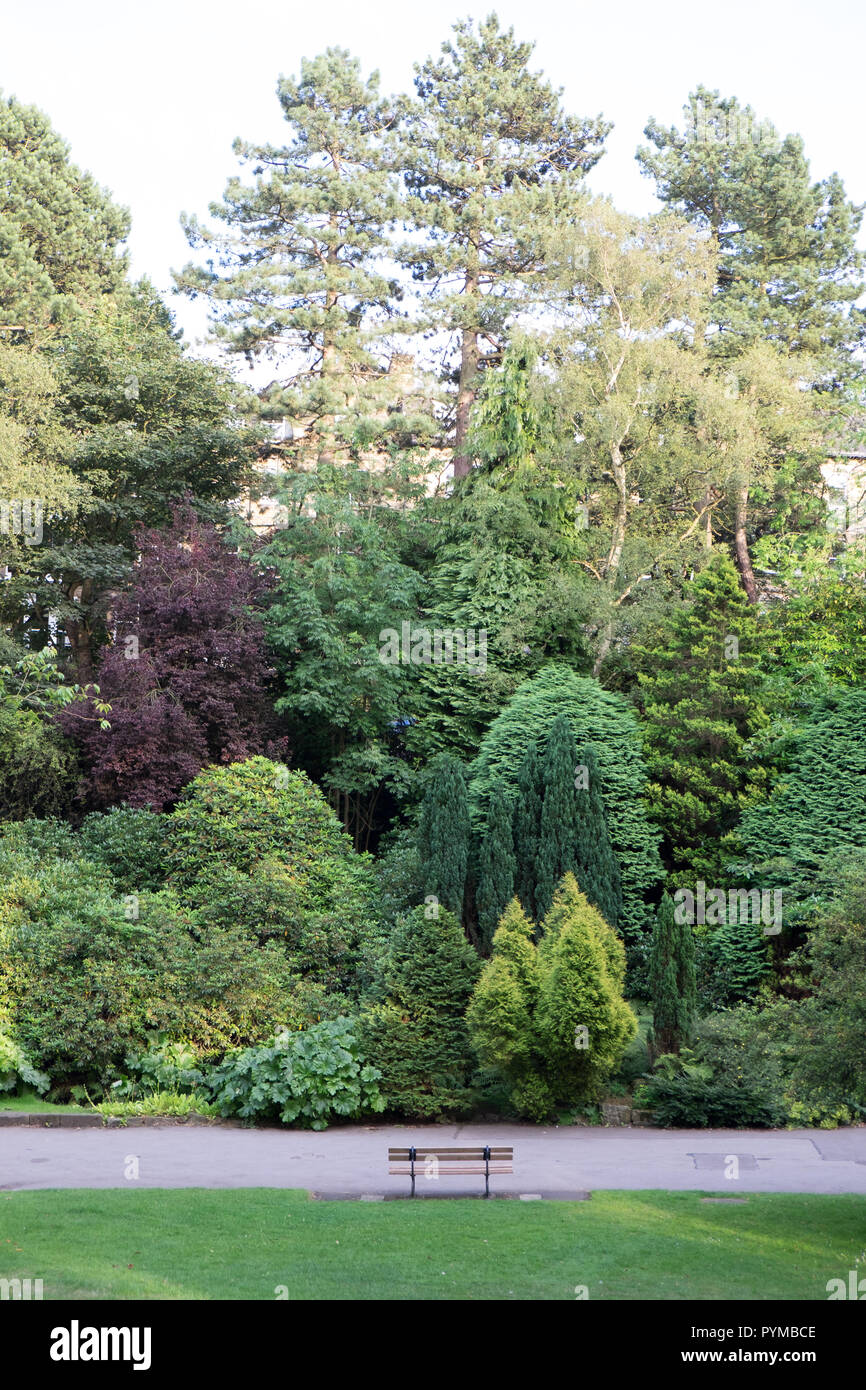 Valley Gardens in Harrogate, England Stock Photo - Alamy