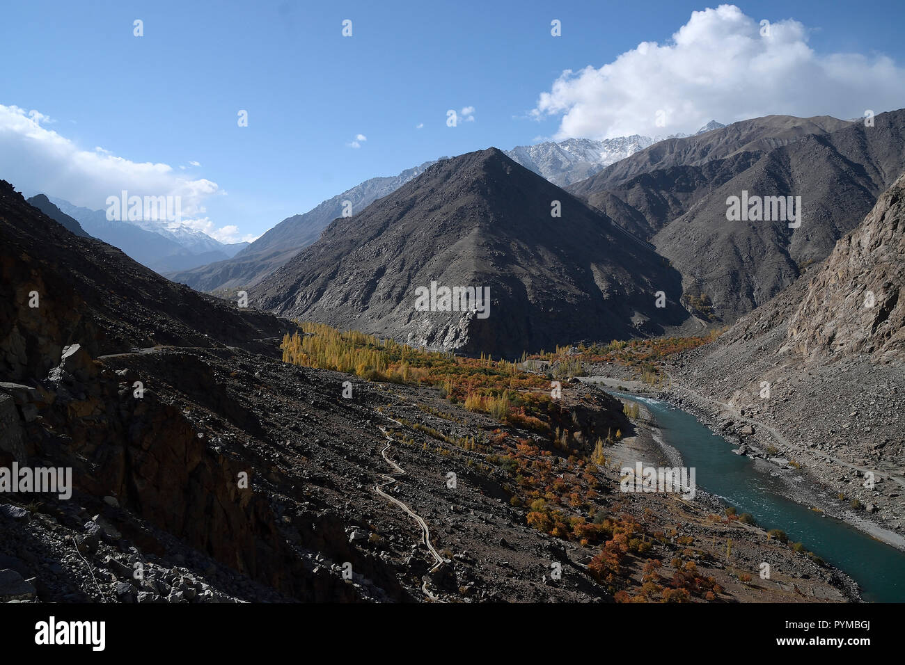 Apple tree at ladakh hi-res stock photography and images - Alamy